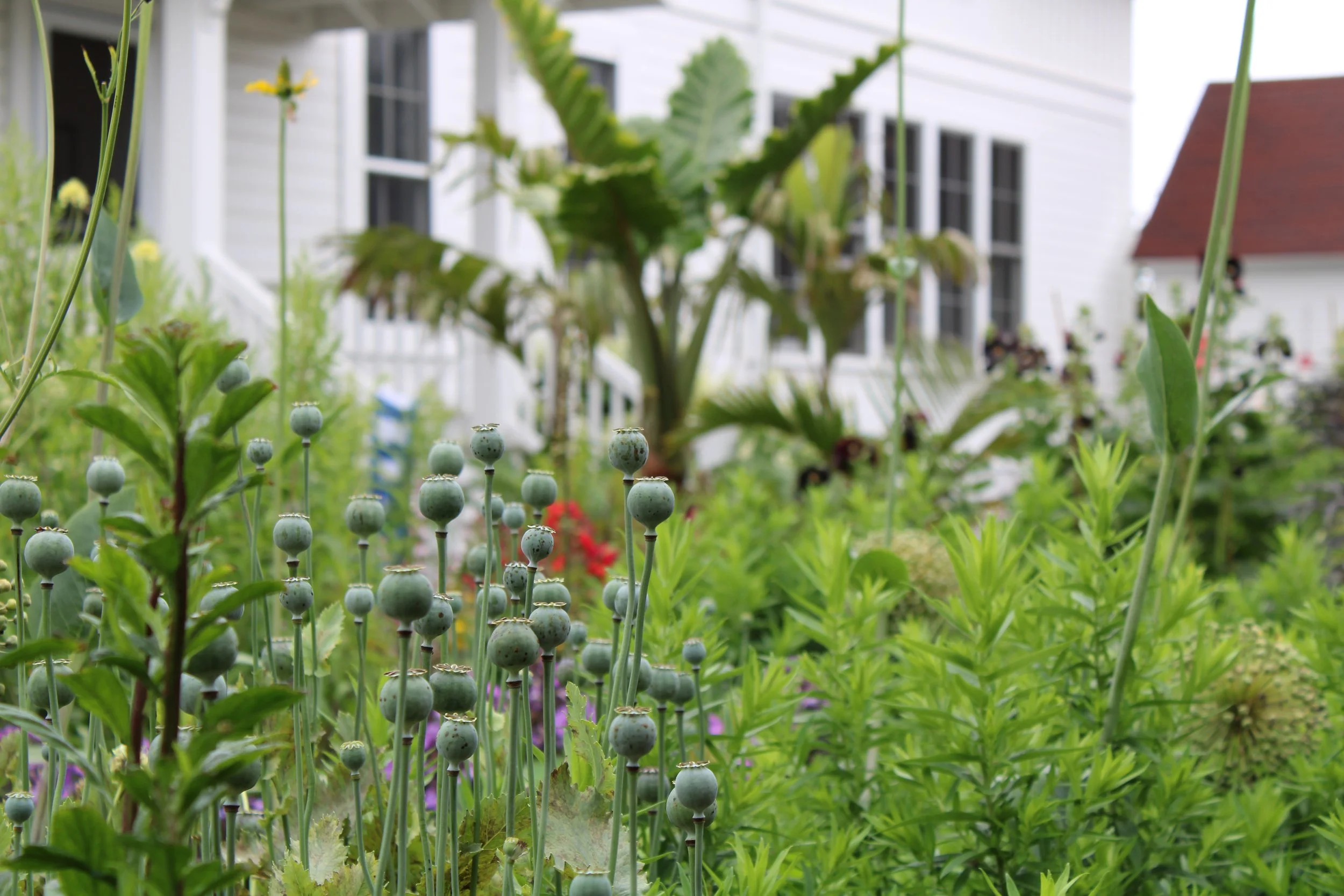 Landscaping Services — Snug Harbor Farm