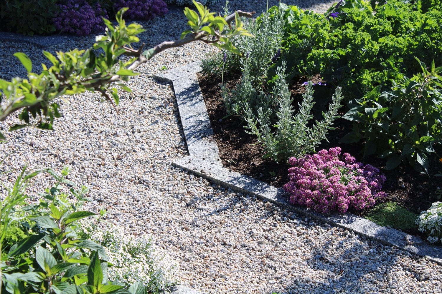 Gardens — Snug Harbor Farm