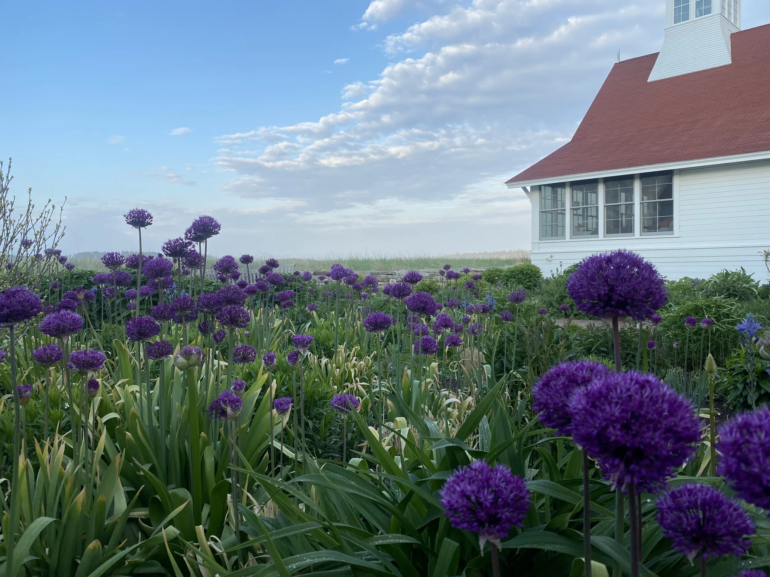 Landscaping Services — Snug Harbor Farm