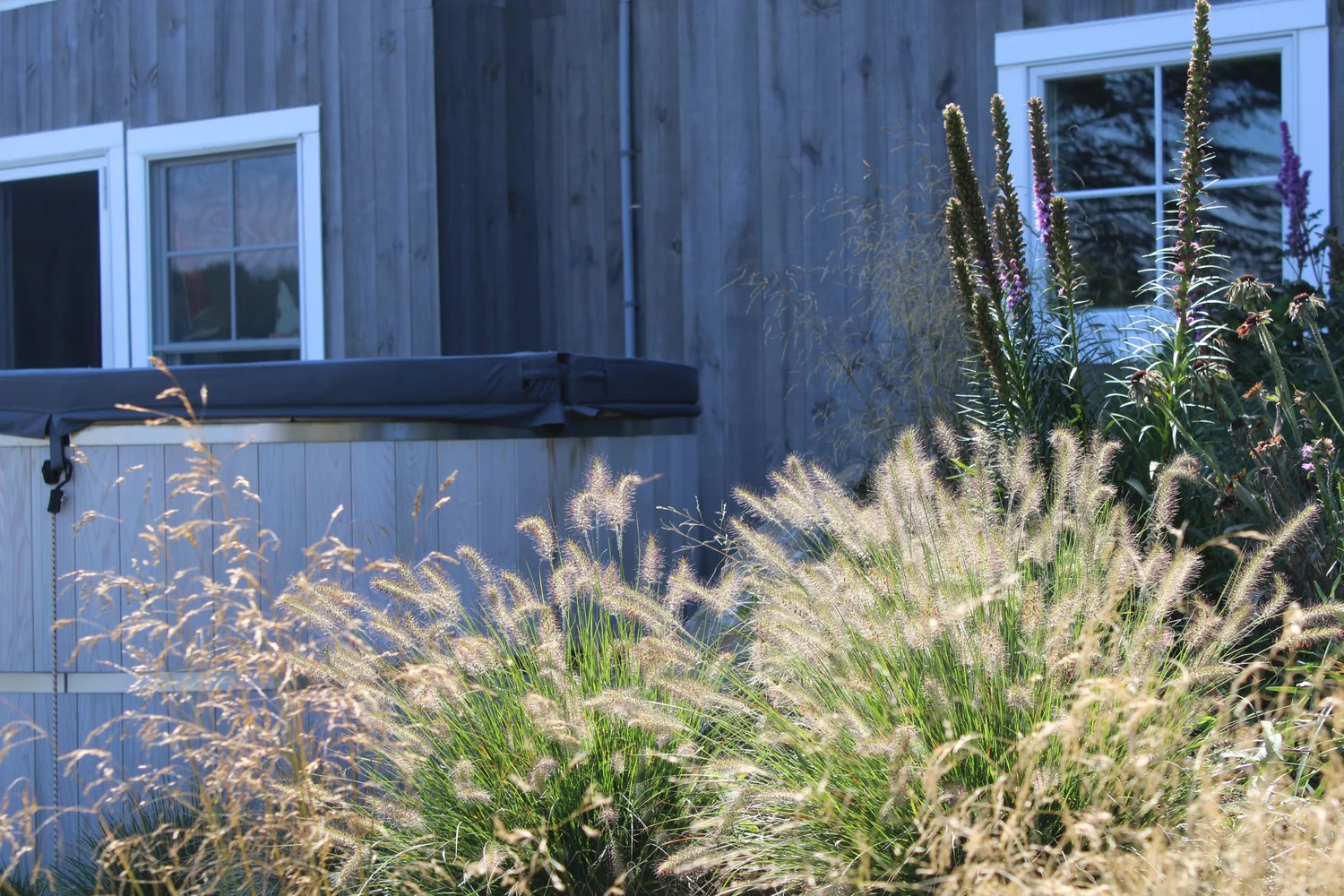 Gardens — Snug Harbor Farm