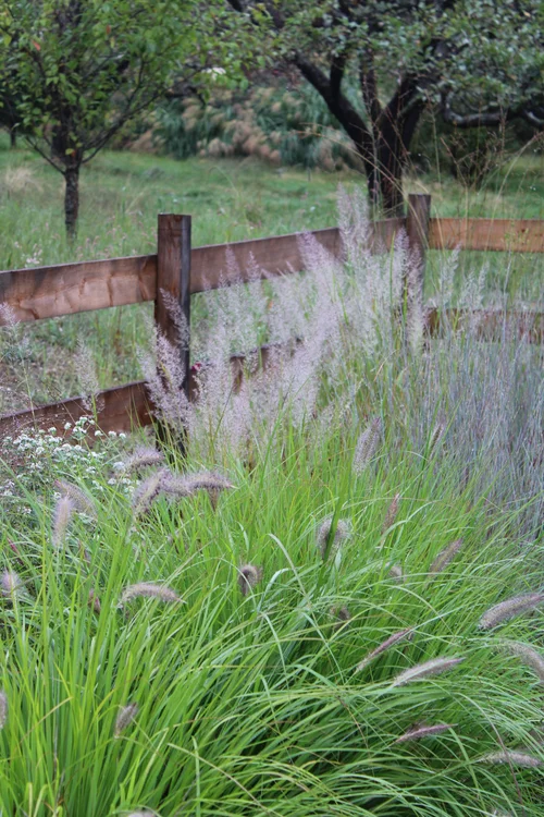 Gardens — Snug Harbor Farm