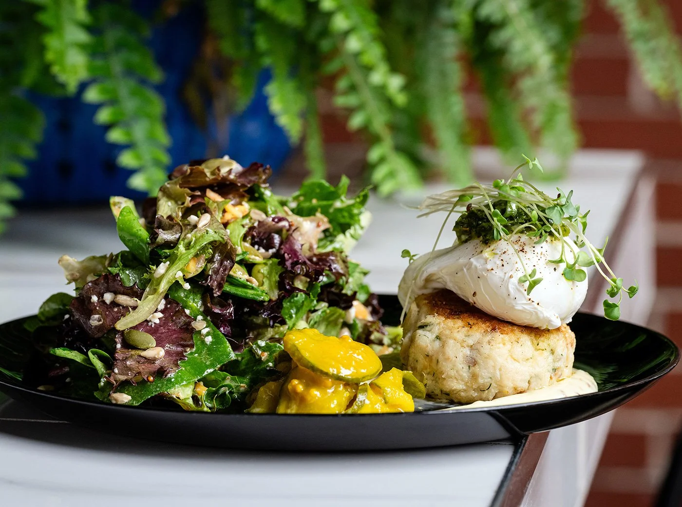Halifax Waterfront Seafood Tour — Curated Food Tours Halifax, Nova ...