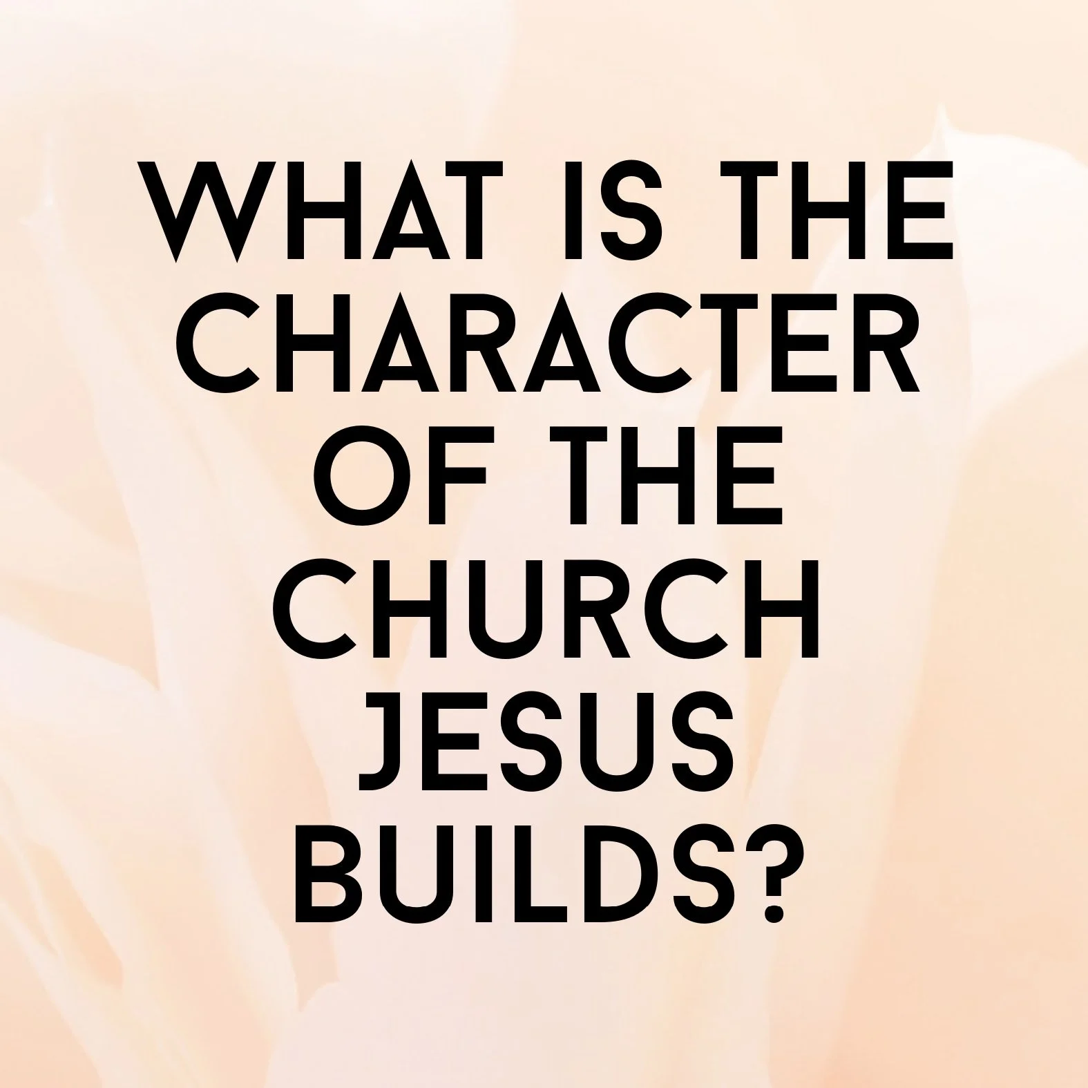 What is the Character of the Church Jesus Builds? - August 28, 2022 ...