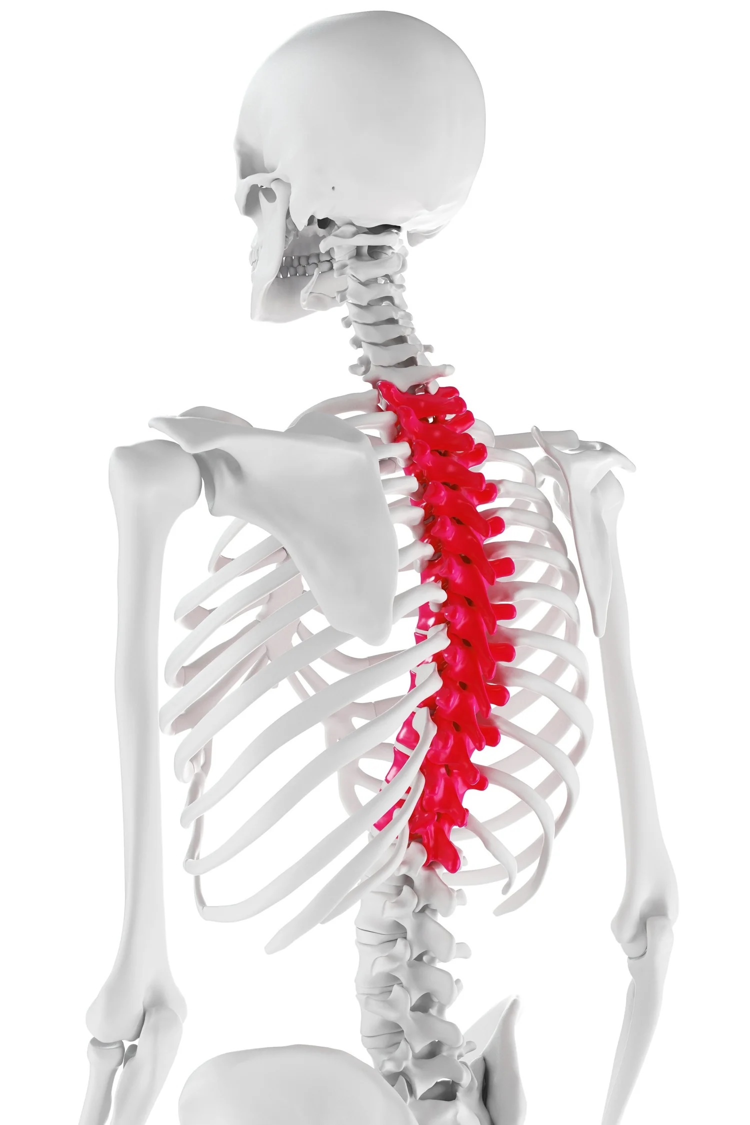 Thoracic Spine Mobility — Spine & Sports Rehabilitation Center