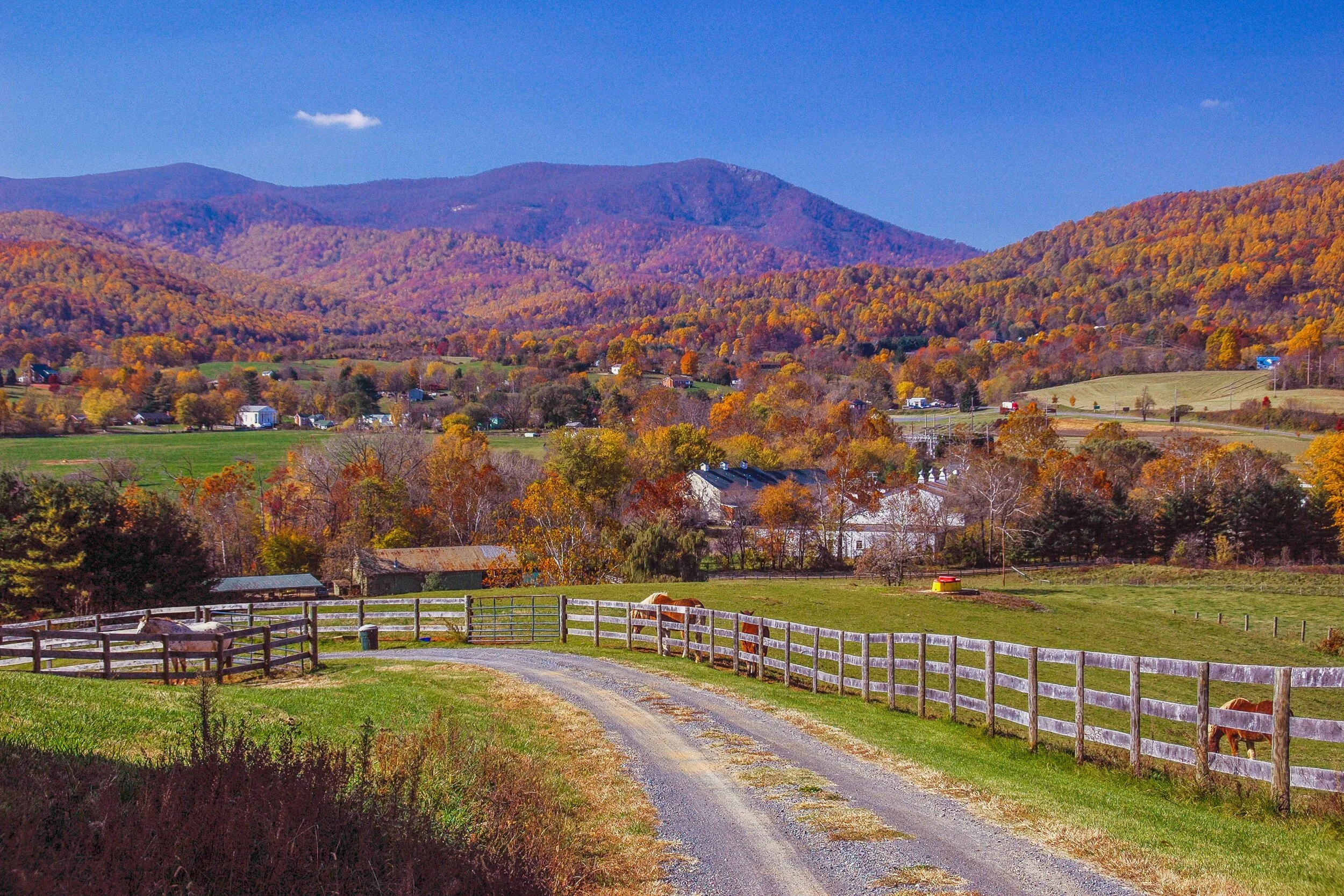 The Issues — New Rural Virginia