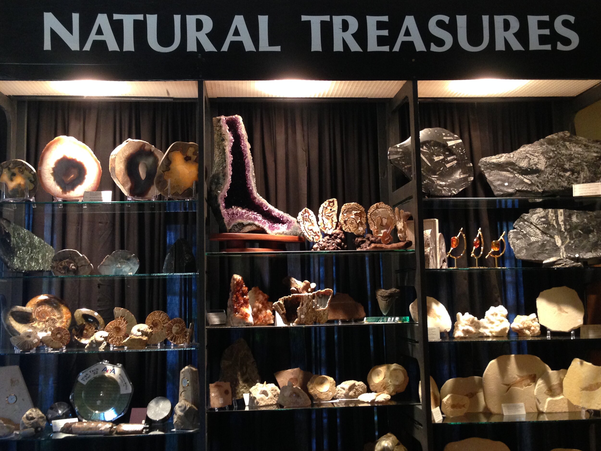 Natural Treasures Online Rock Shop Minerals & Fossils, Austin, Texas HOME