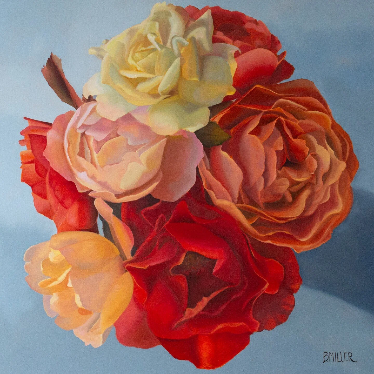 Plane Air Art | Barbara Miller Artist