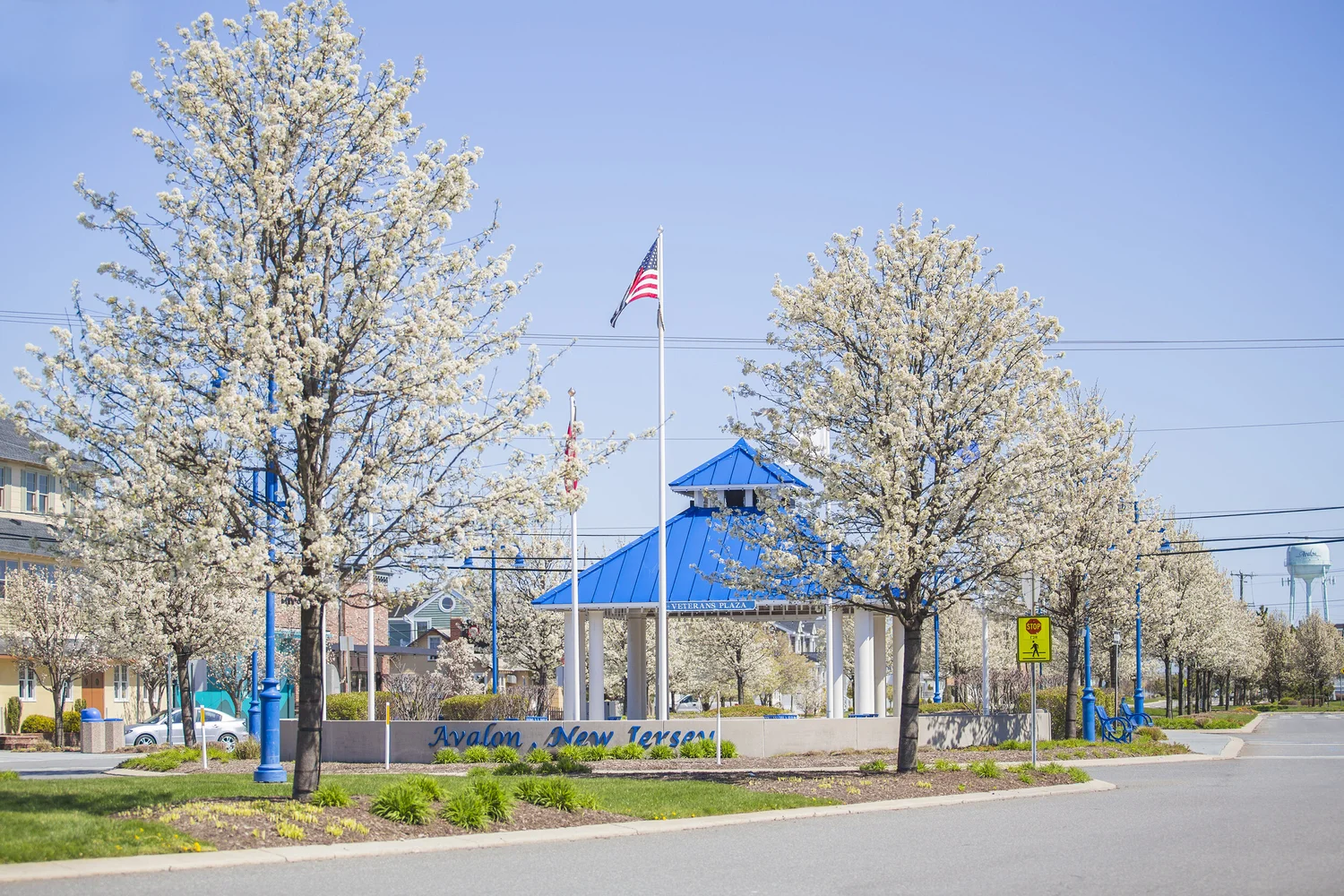 Ask Us a Question — Avalon Department of Recreation