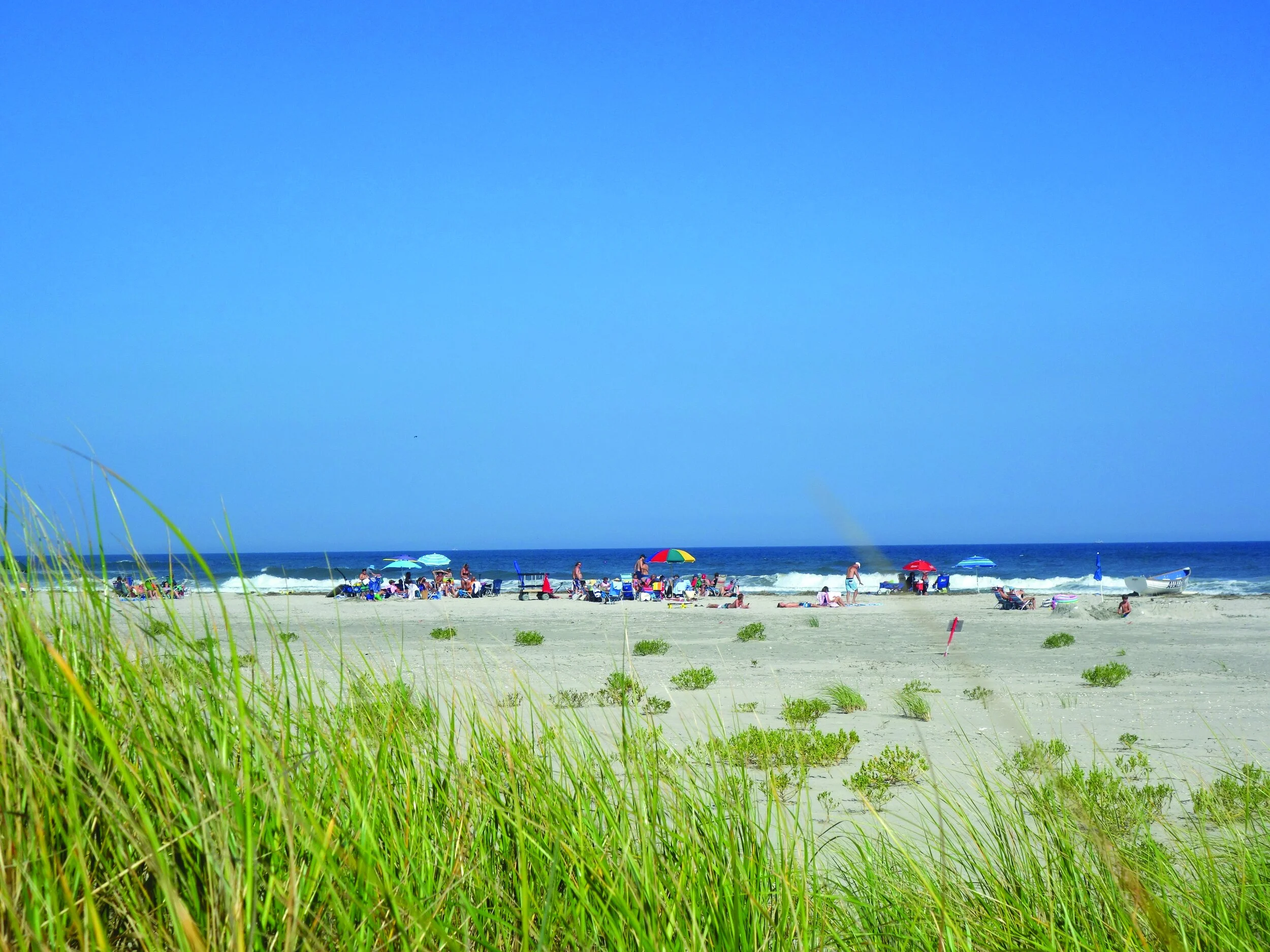 Beach Tag & Beach Information — Avalon Department of Recreation