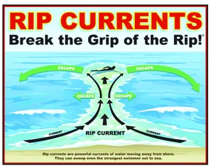 Beach Tag & Beach Information — Avalon Department of Recreation