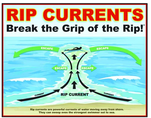 Beach Tag & Beach Information — Avalon Department of Recreation