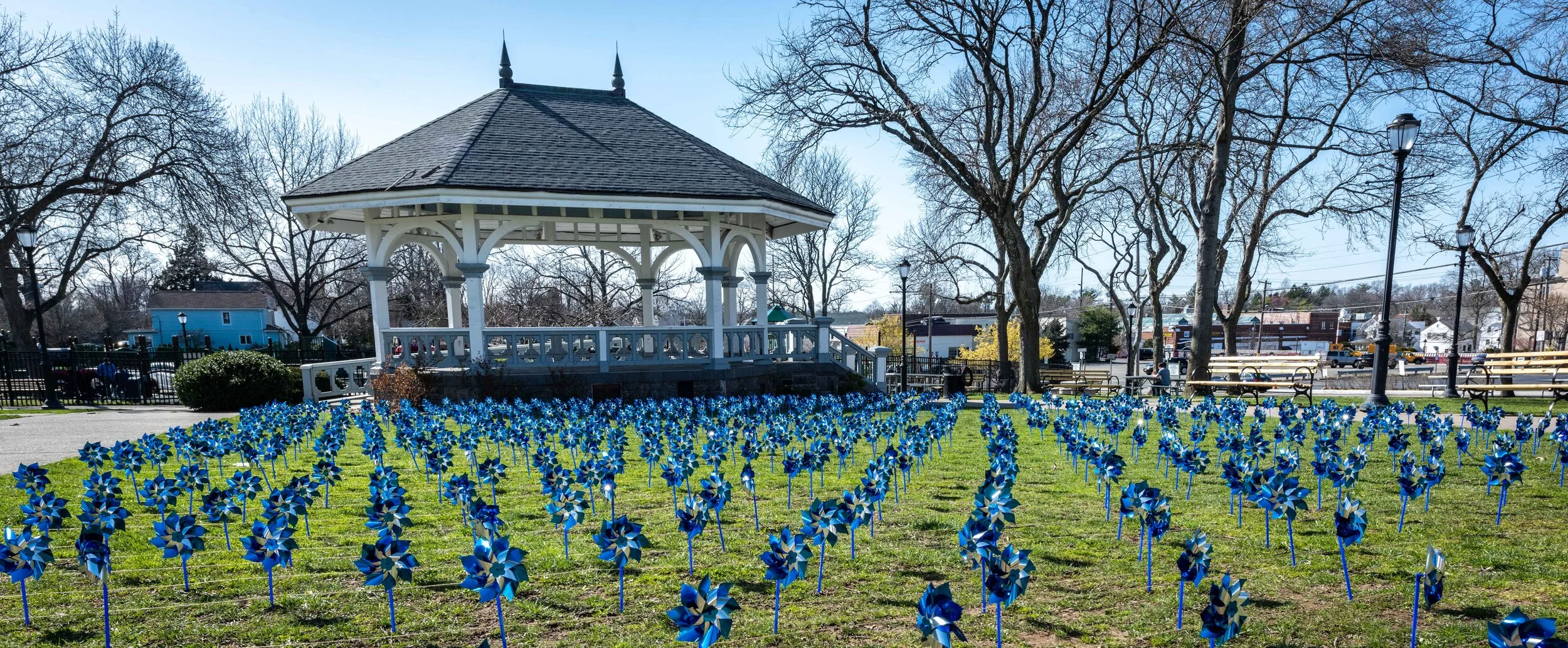 Pinwheels in the Park — Kyra's Champions