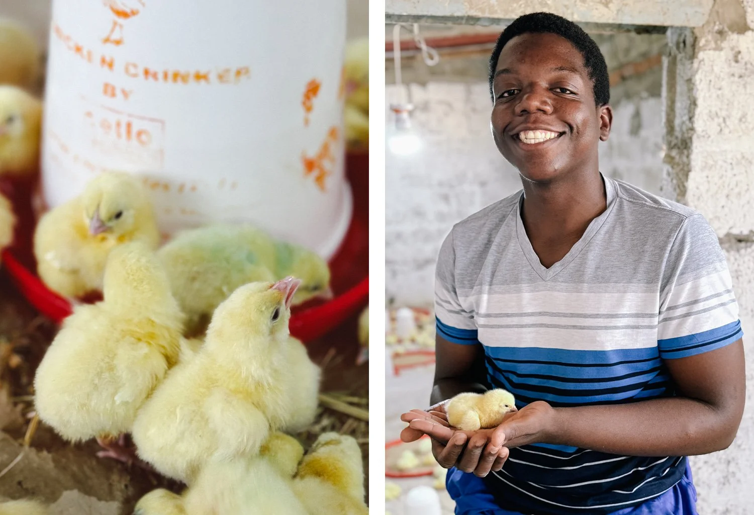 The ACE Farm — ALLIANCE FOR CHILDREN EVERYWHERE