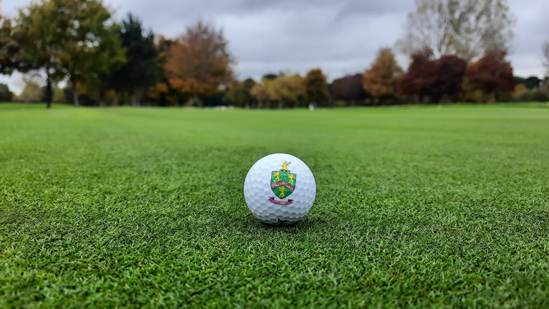 Tutorials — Cosgrove Golf