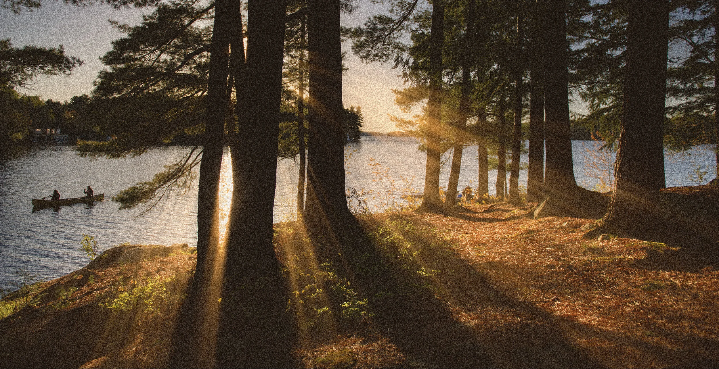 The Cove