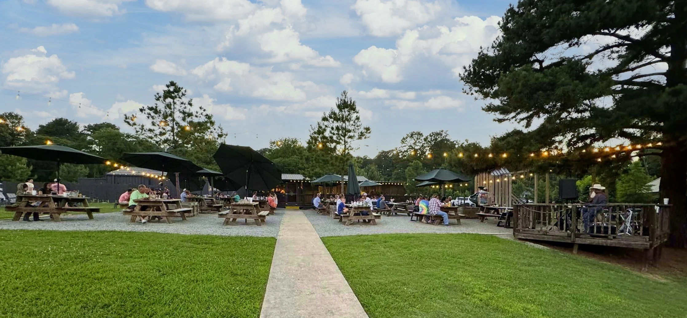 The Cove