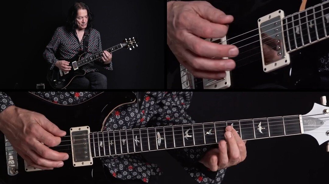Dojo Robben Ford Guitar Dojo