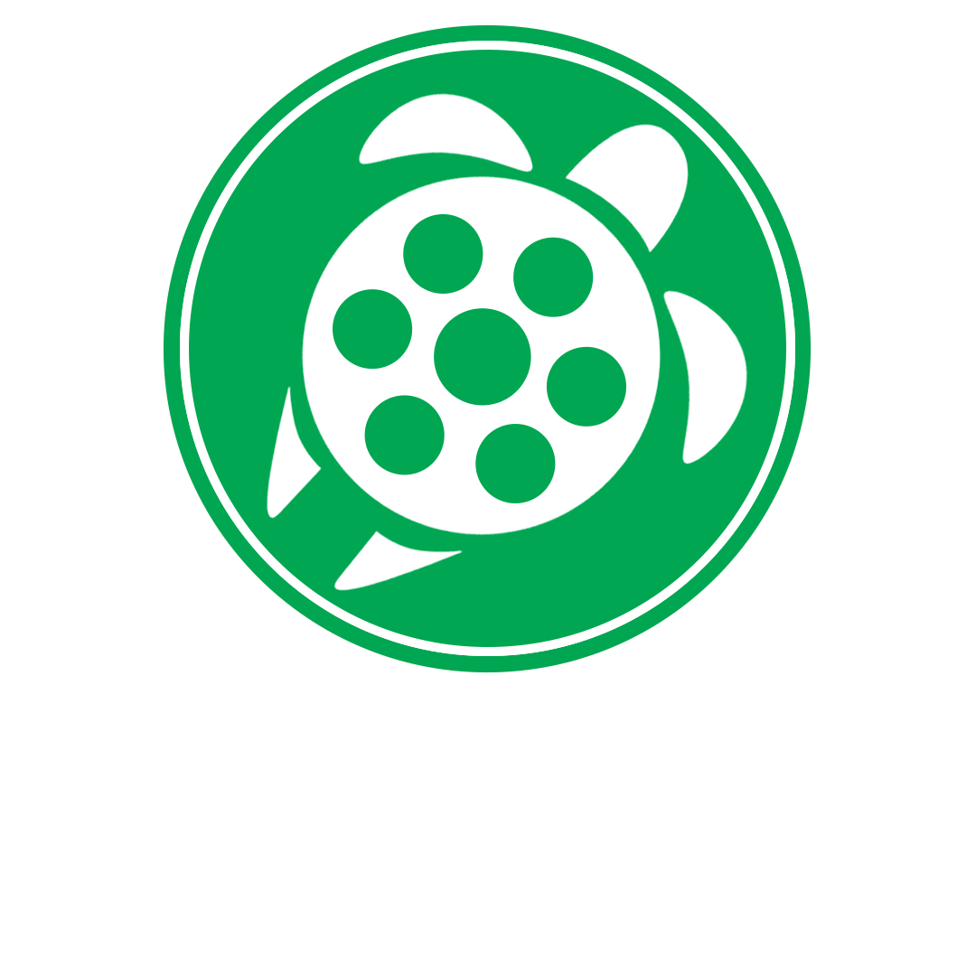 Terrapin Sky