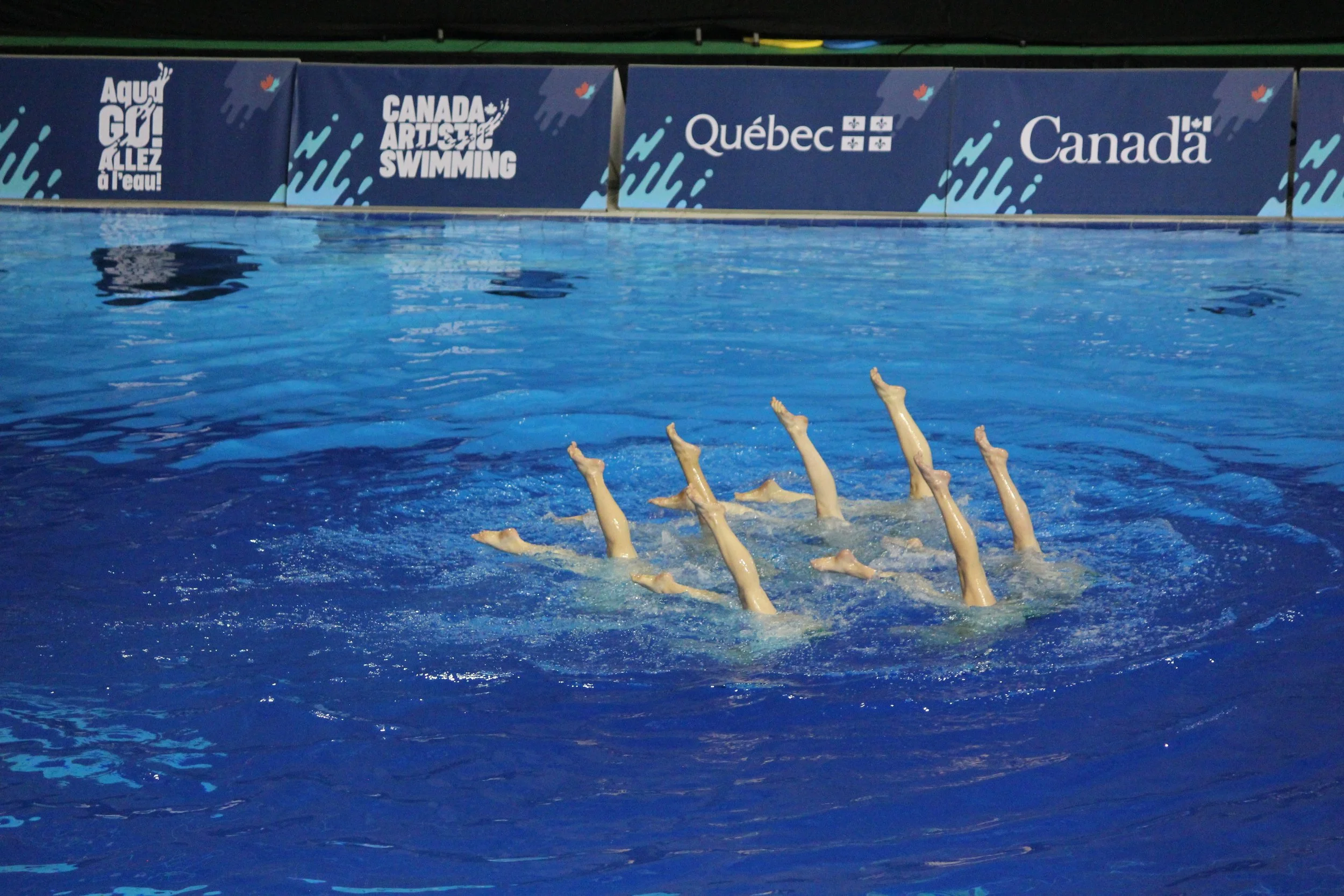 Competitive National Stream (high performance) — Excel Artistic Swimming