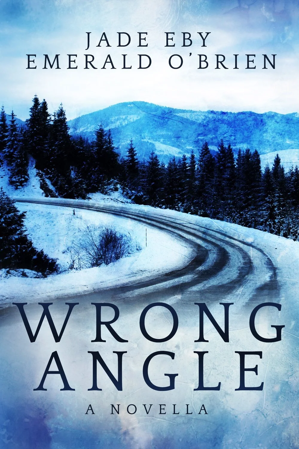 Wrong Angle — EMERALD O'BRIEN