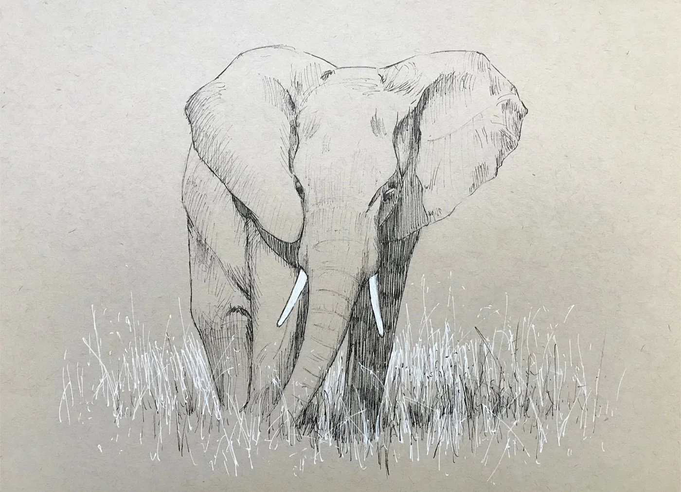 Schaefer Fine Art