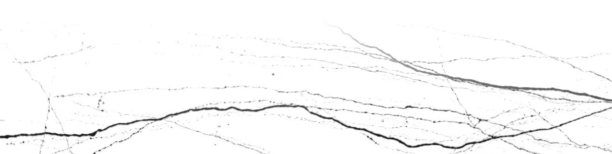 Yang defends her PhD! — Mao Lab