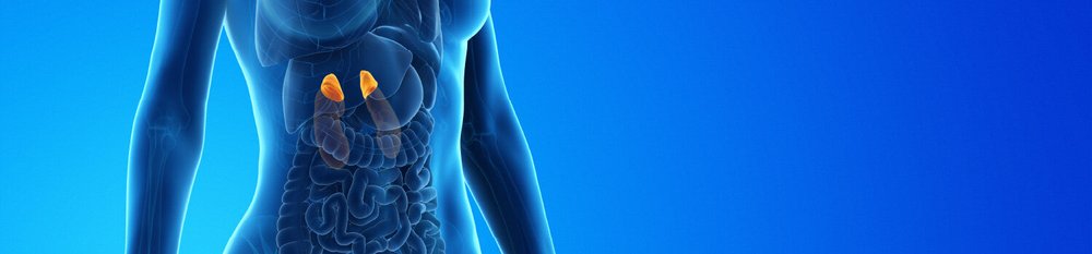 Endocrine and Diabetes Clinics