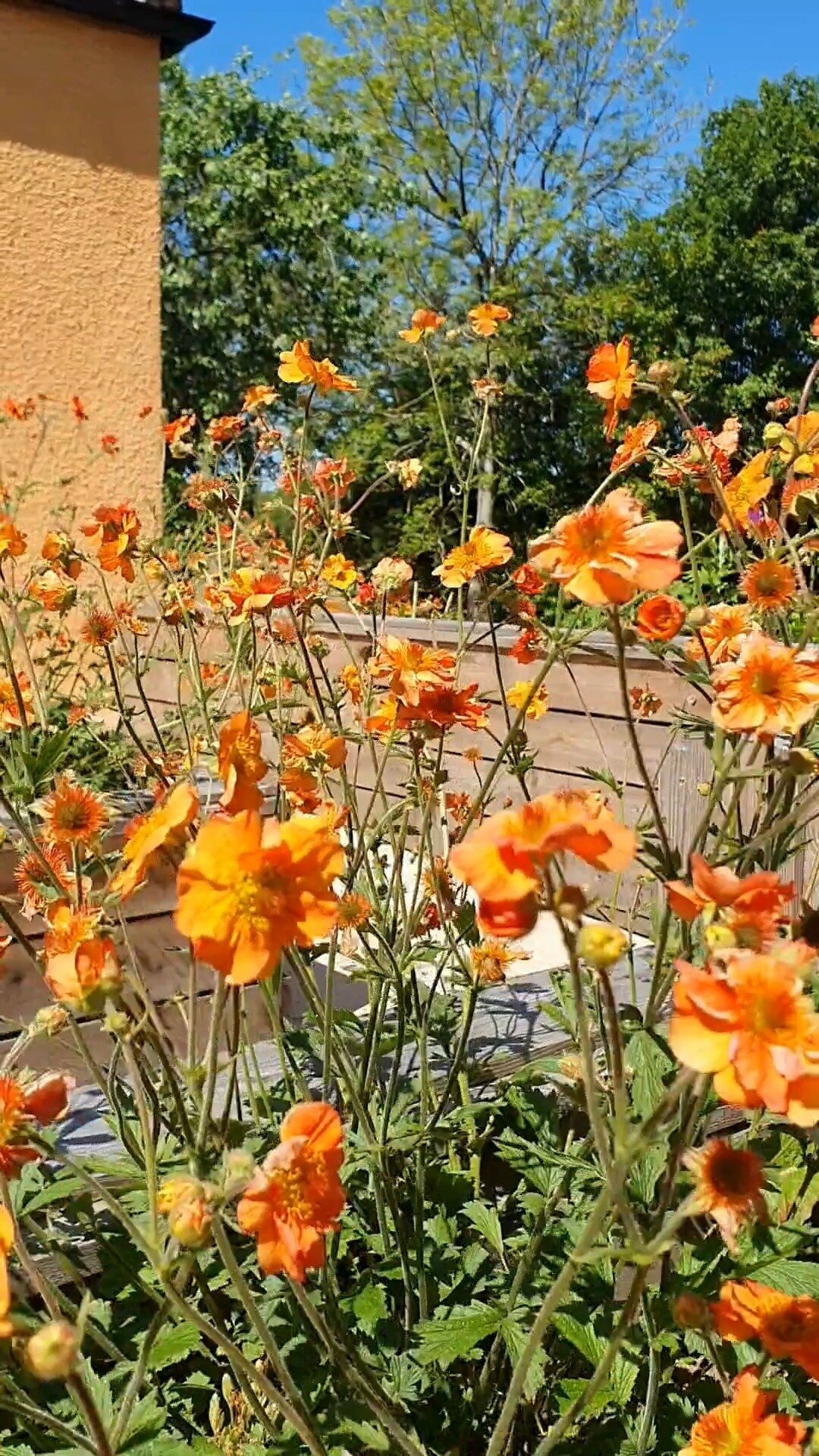 Book your stay — Brucefield Estate