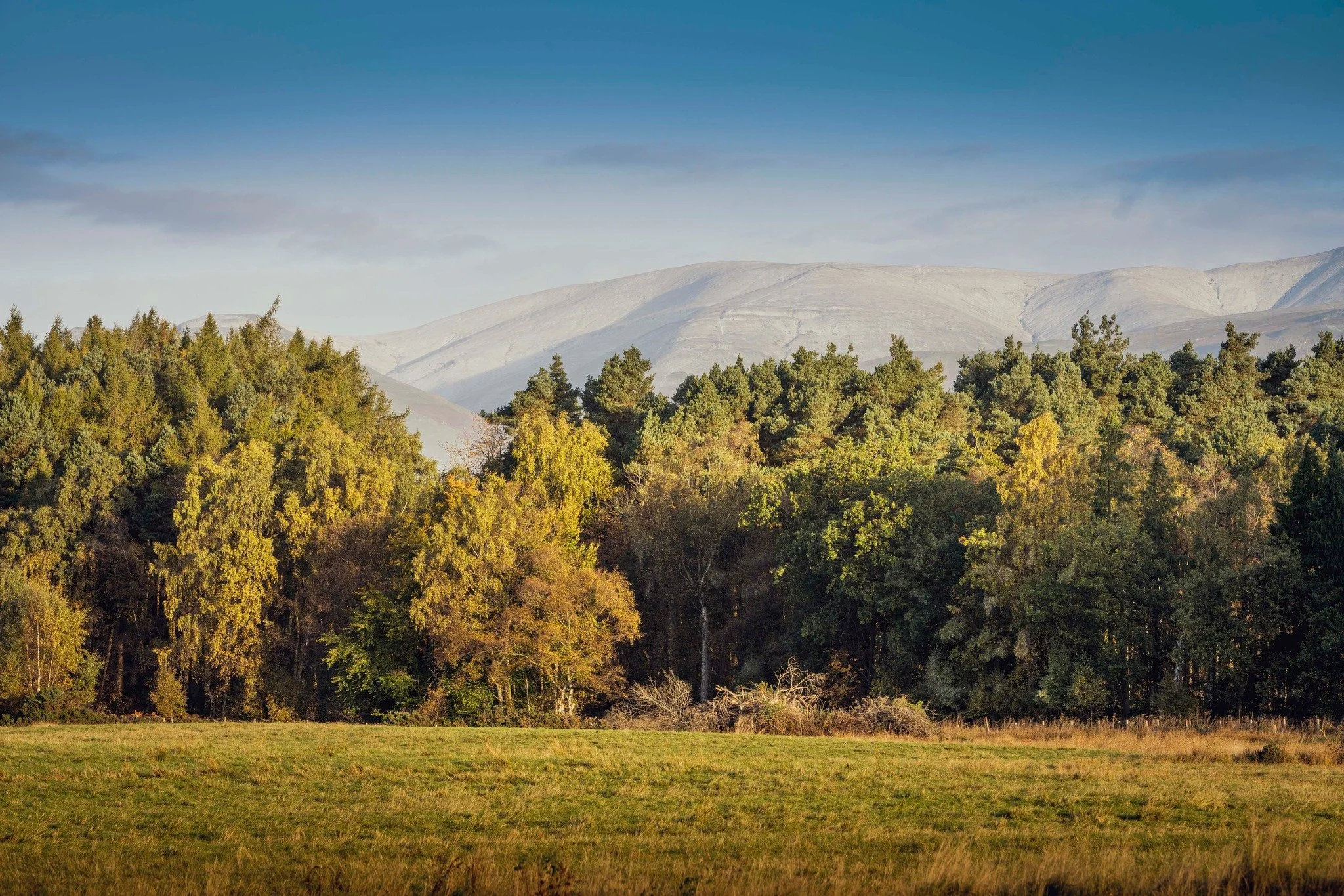 Book your stay — Brucefield Estate