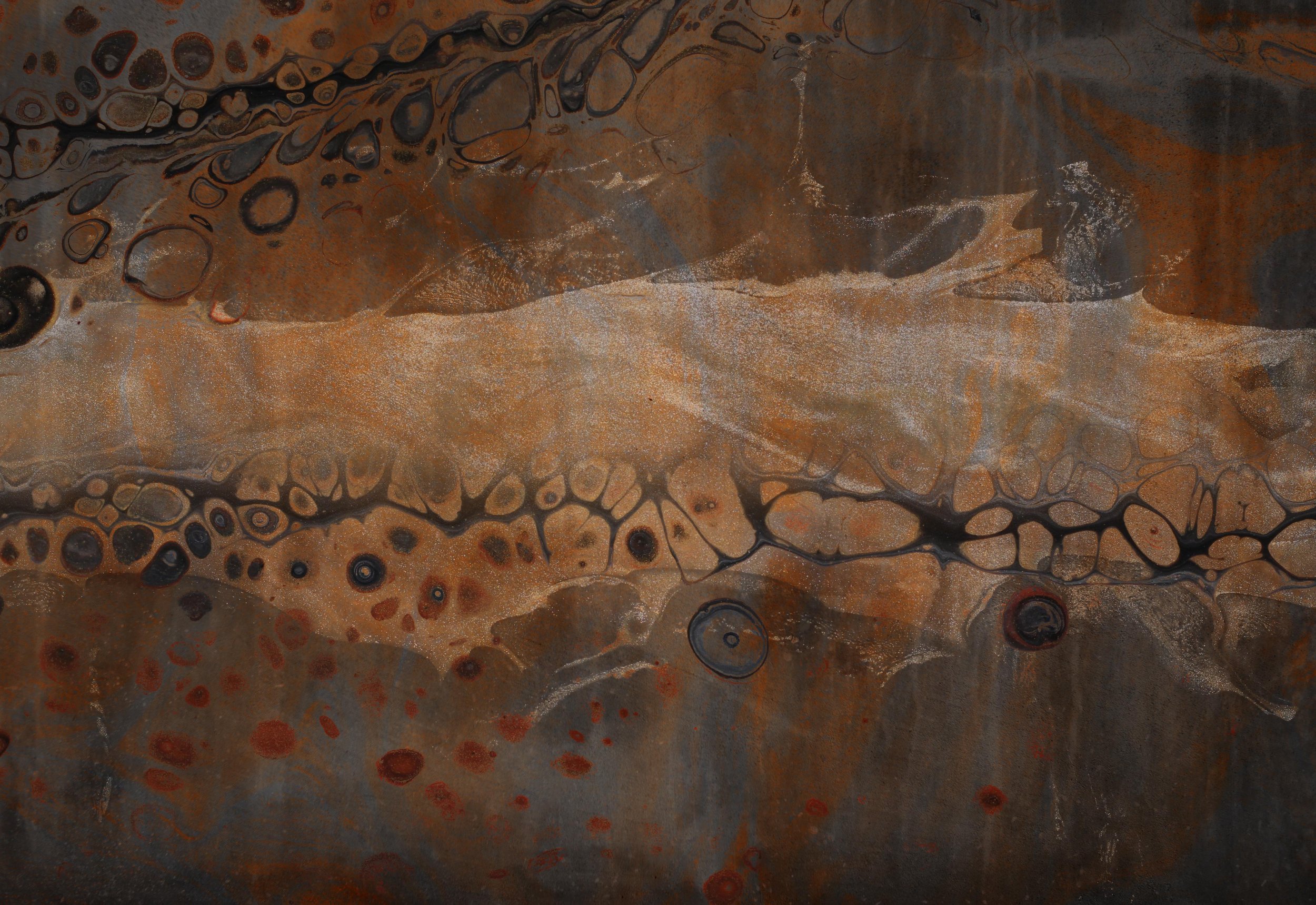 20-SIMPLY STUNNING COLLECTION — Trudy Kepke Fine Art 20-SIMPLY STUNNING COLLECTION — Trudy Kepke Fine Art