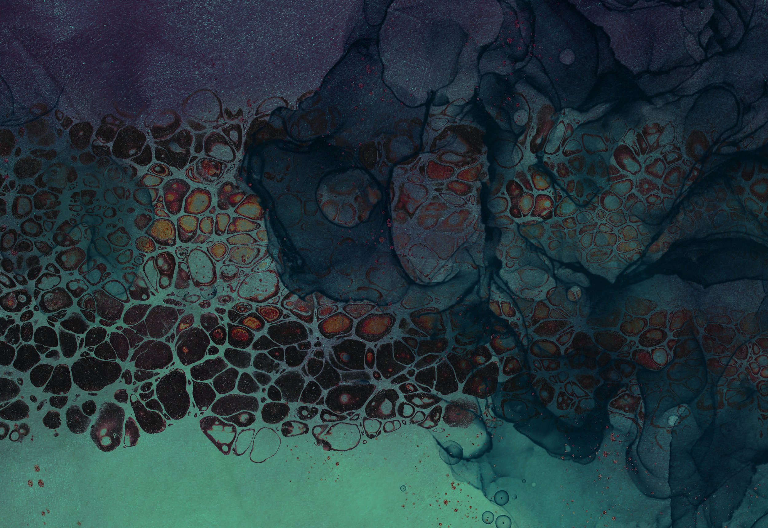 20 - TEXTURE ME THIS COLLECTION — Trudy Kepke Fine Art