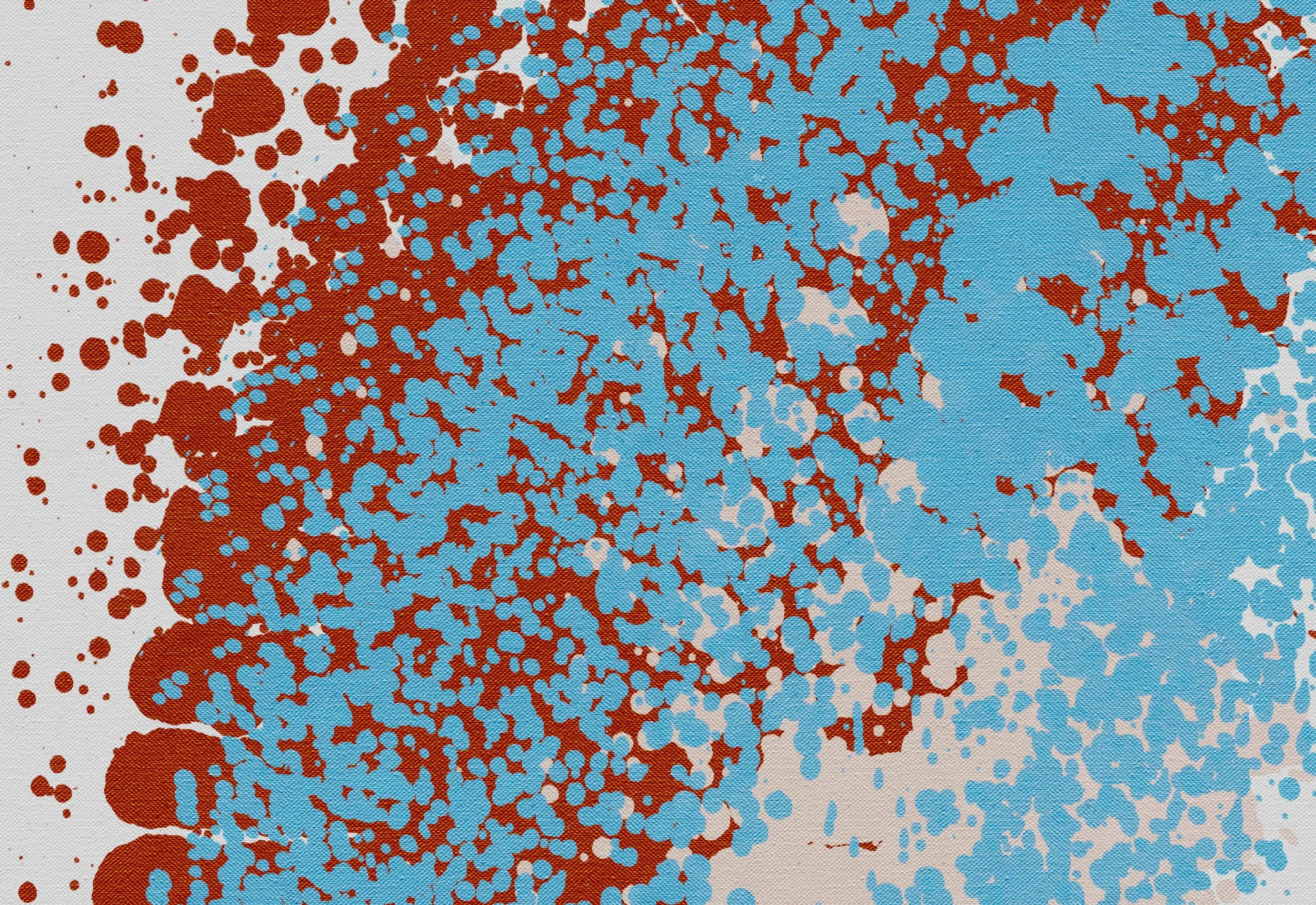 20 - All About The Splash Collection — Trudy Kepke Fine Art