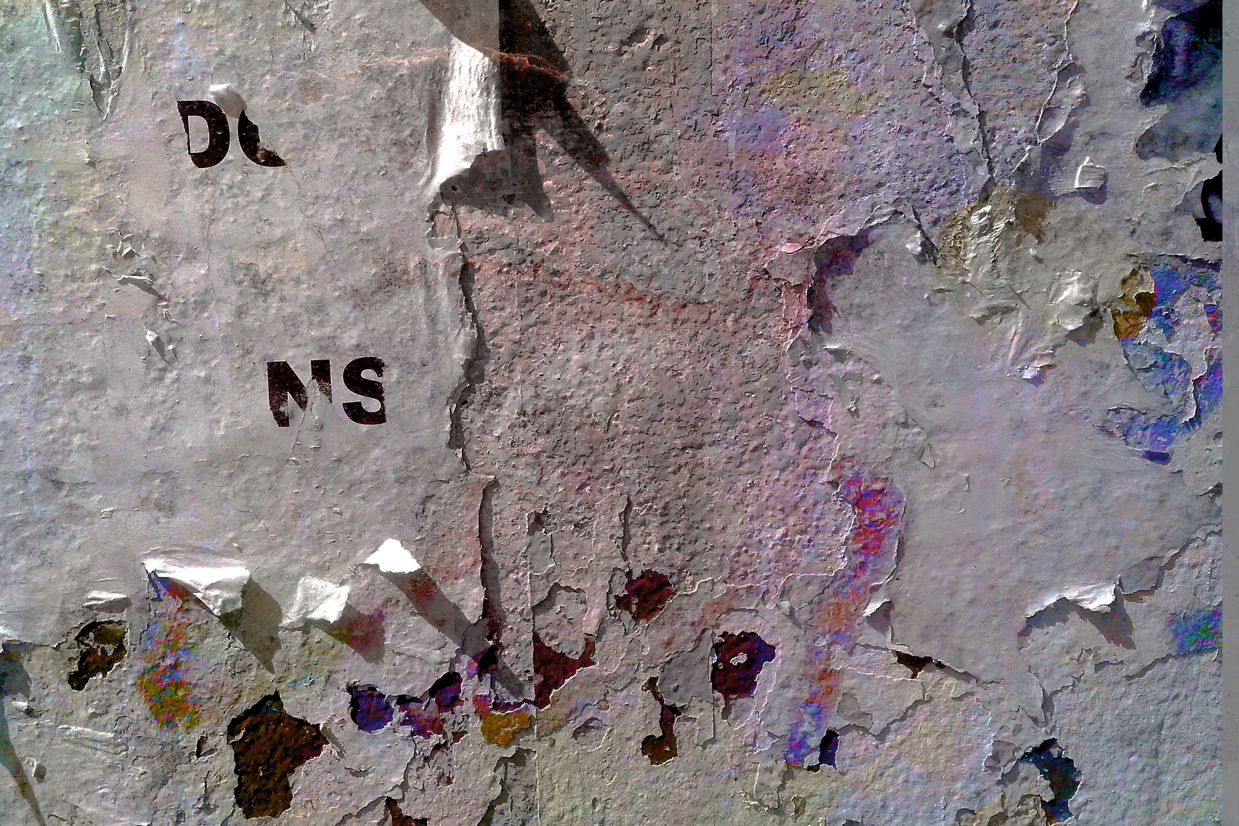 SCRUMMY YUMMY COLLECTION -20 — Trudy Kepke Fine Art