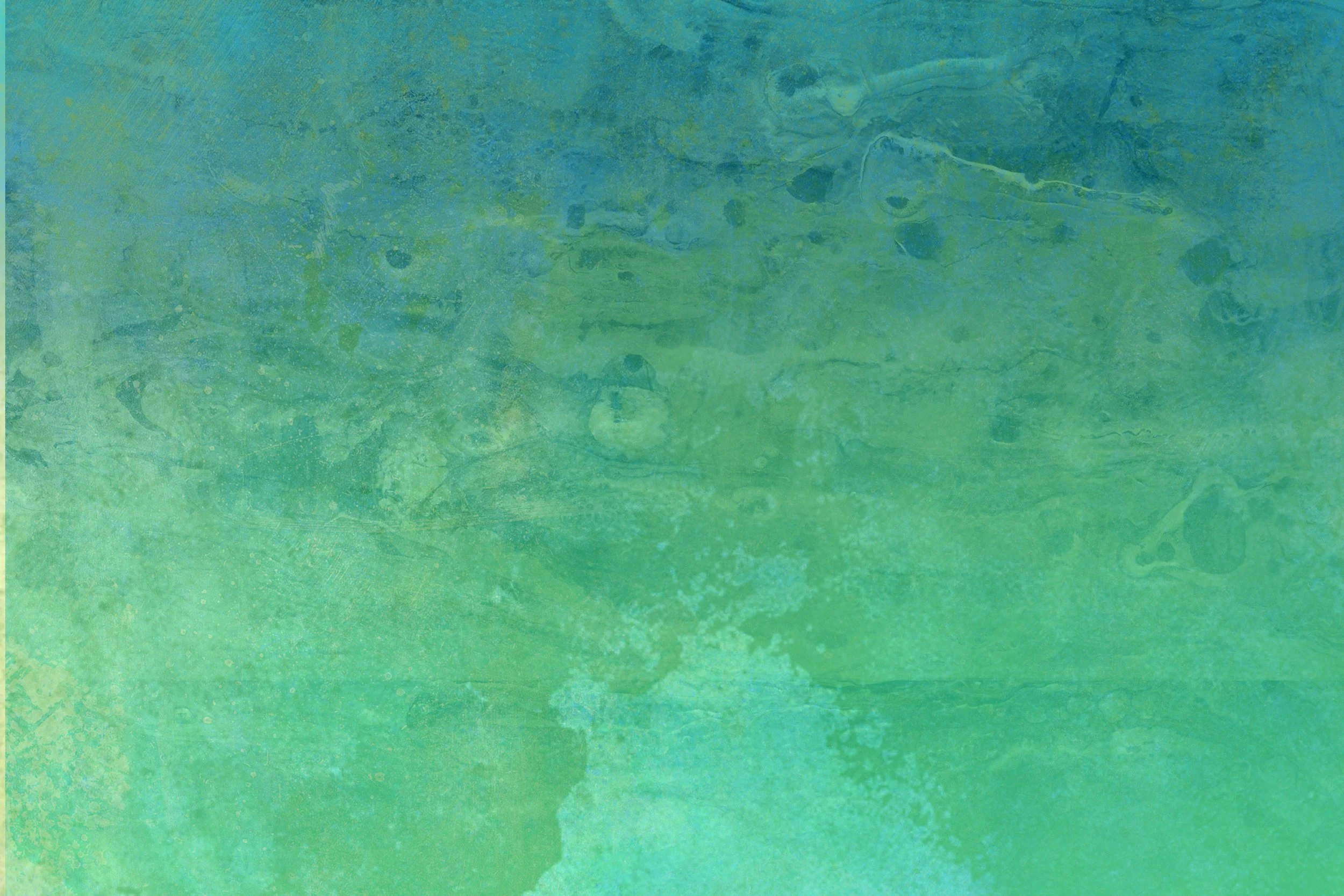 SCRUMMY YUMMY COLLECTION -20 — Trudy Kepke Fine Art