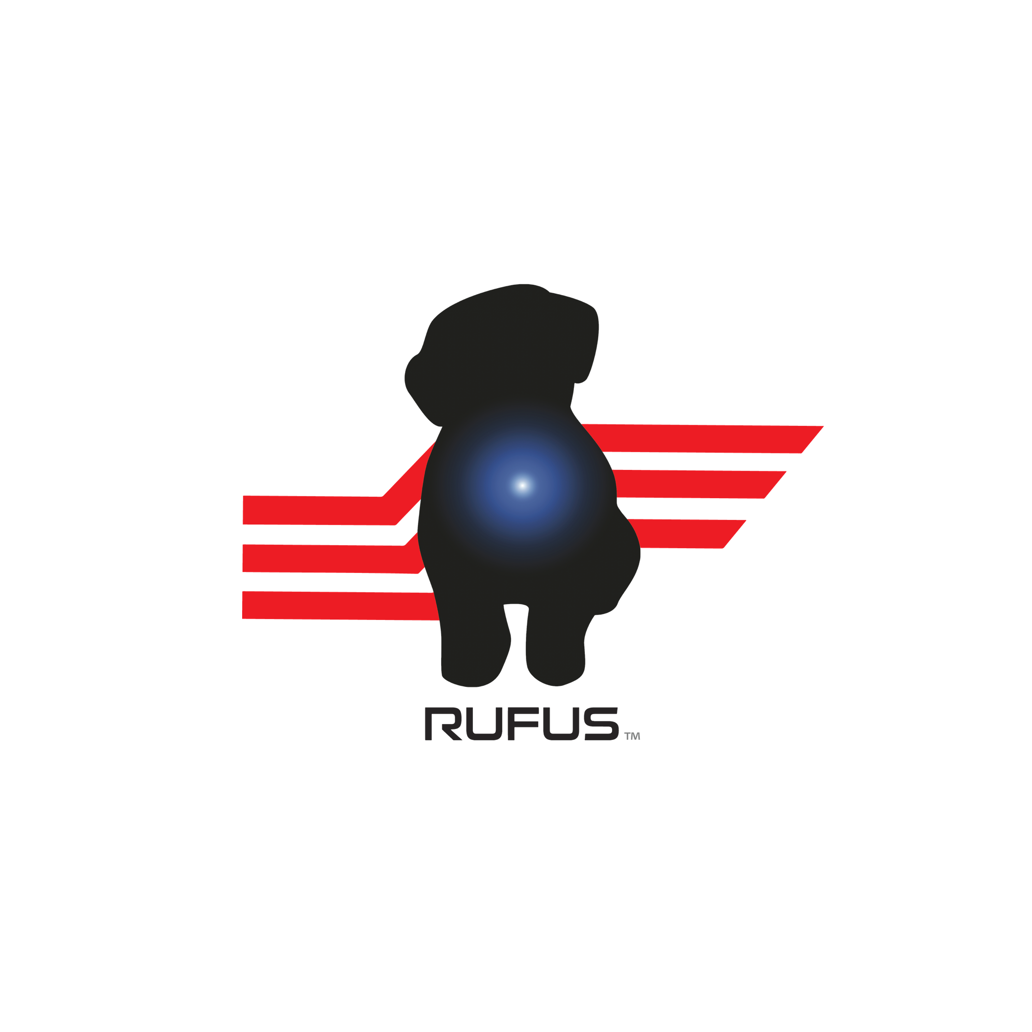 About 1 — Rufus Labs - Wearable & Handheld Barcode Scanning Technology & AI