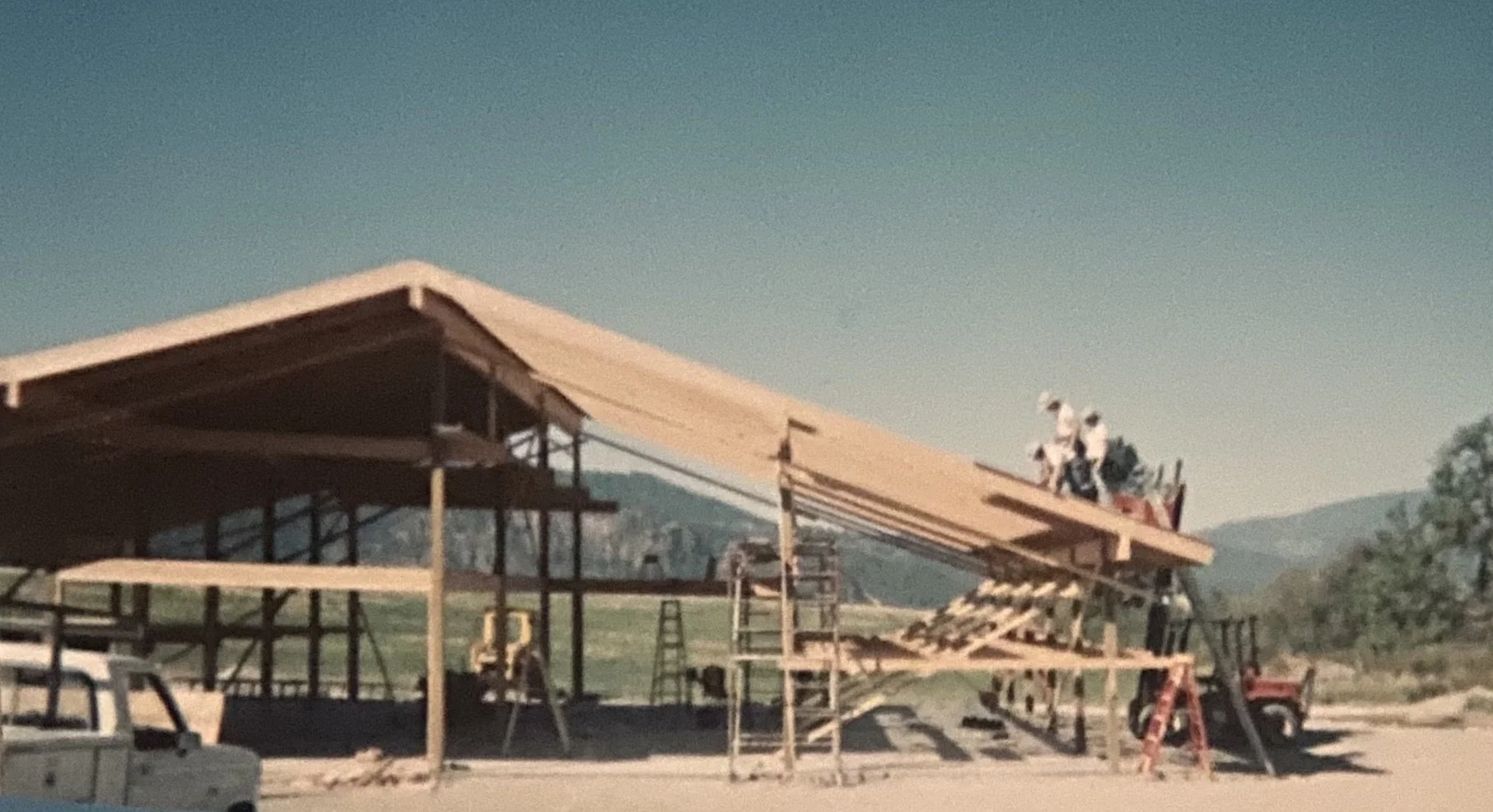 Analog Architecture and Design