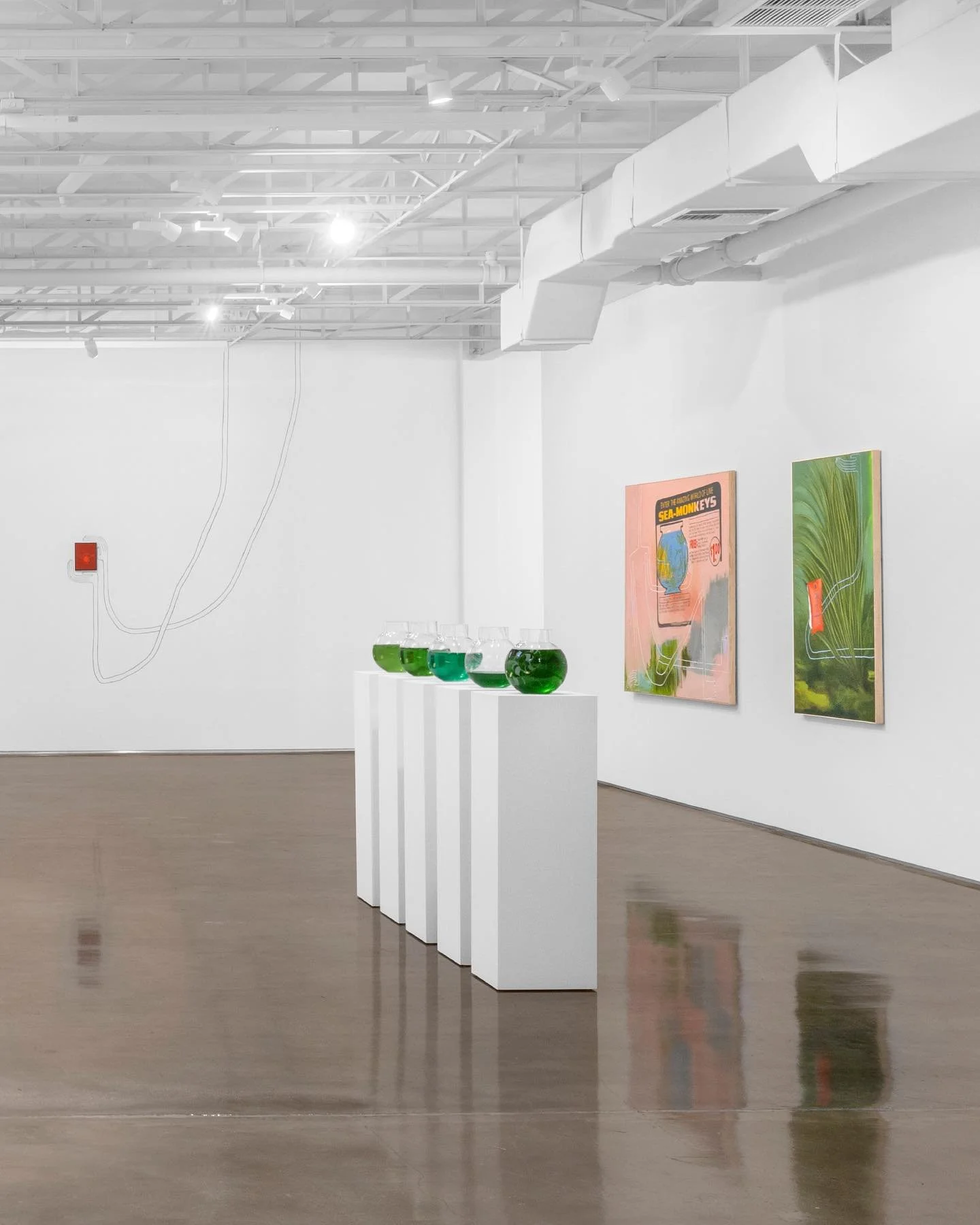 Piero Atchugarry Gallery