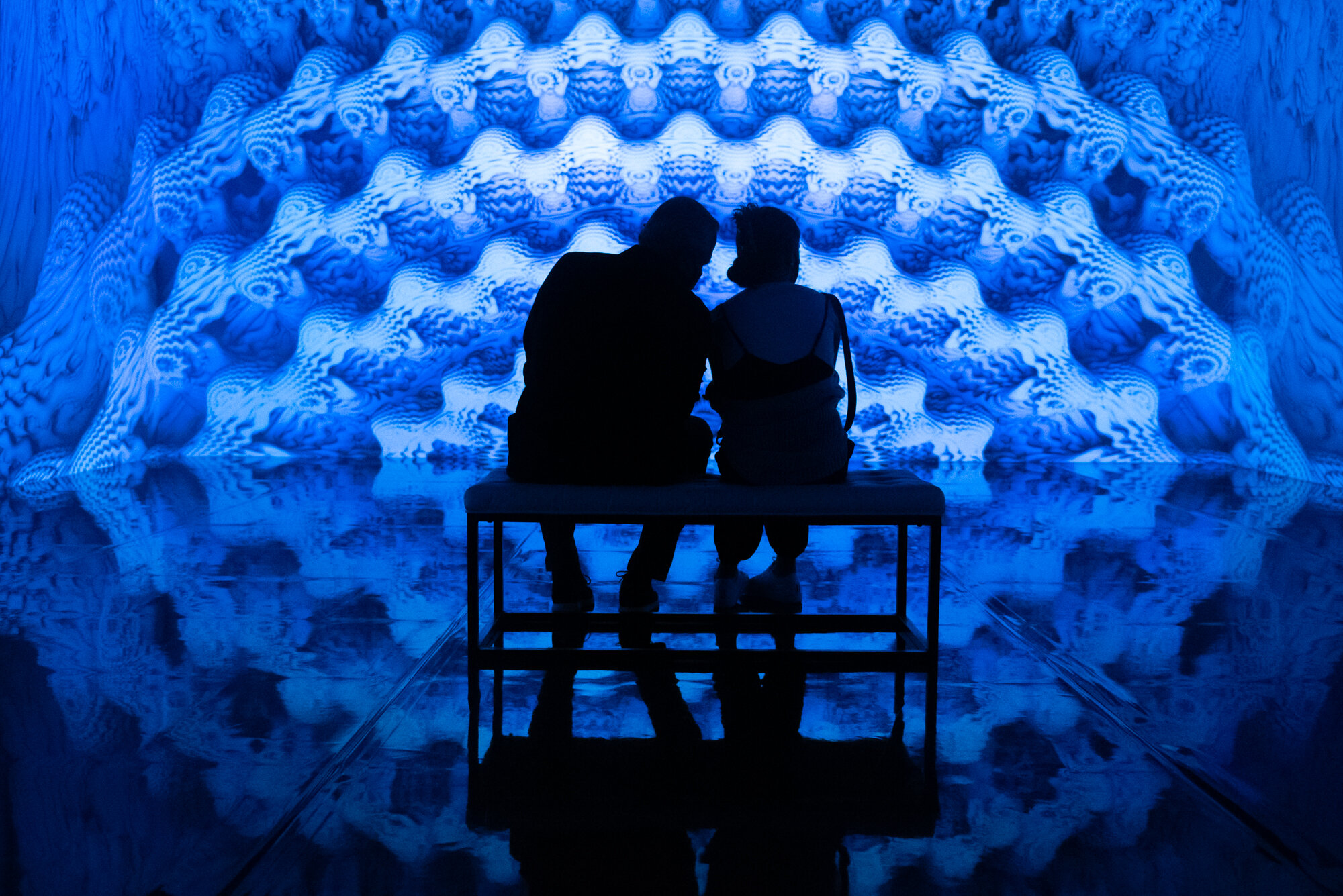 ARTECHOUSE is the most calming experience in Miami — The Modems