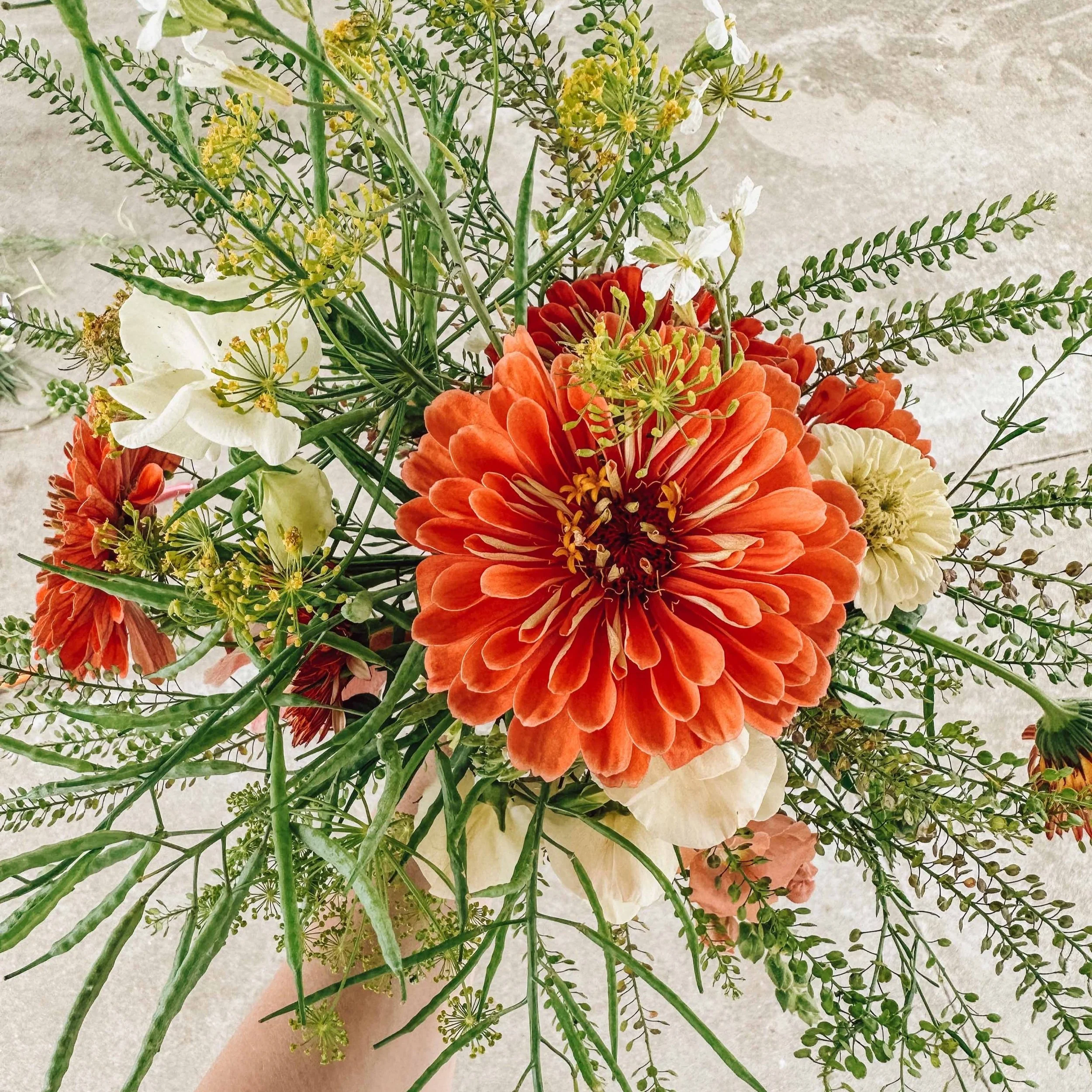 Flower farm in Marion, Indiana