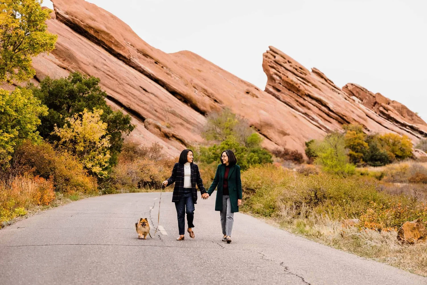 40+ Best Cheap Small Wedding Venues in Colorado — Vow of the Wild