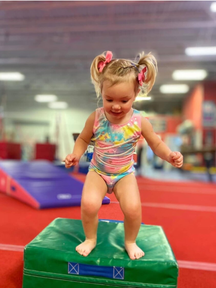 Preschool Gymnastics — Apollo School of Gymnastics
