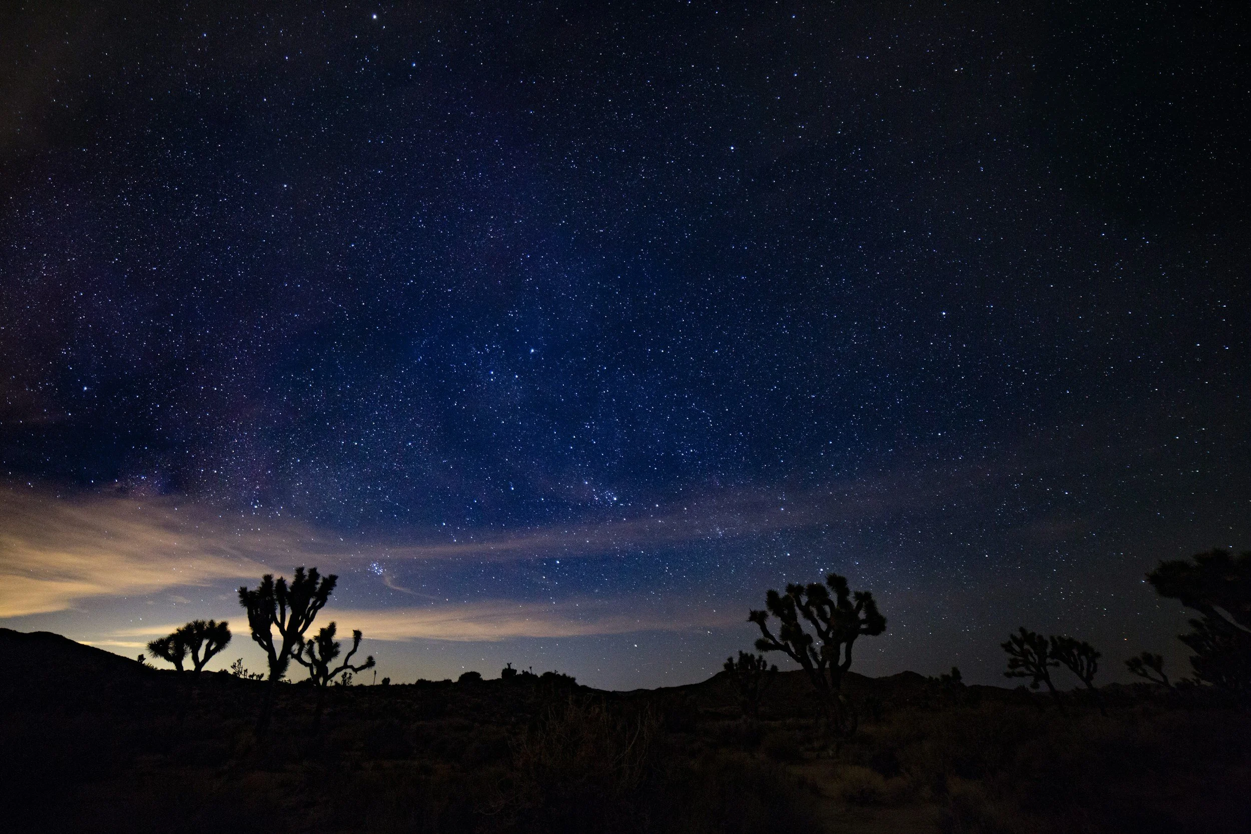 WKNDR | Five Little-Known Facts About Joshua Tree National Park