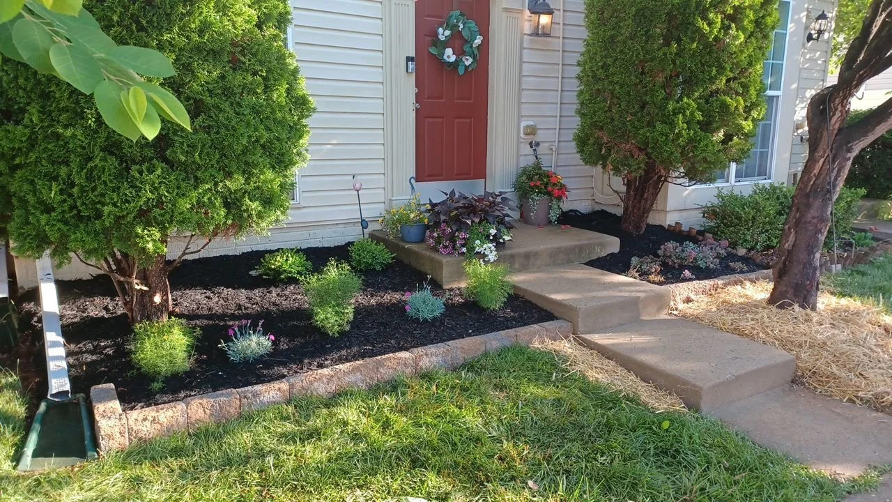 Adam's Tree & Lawn Care