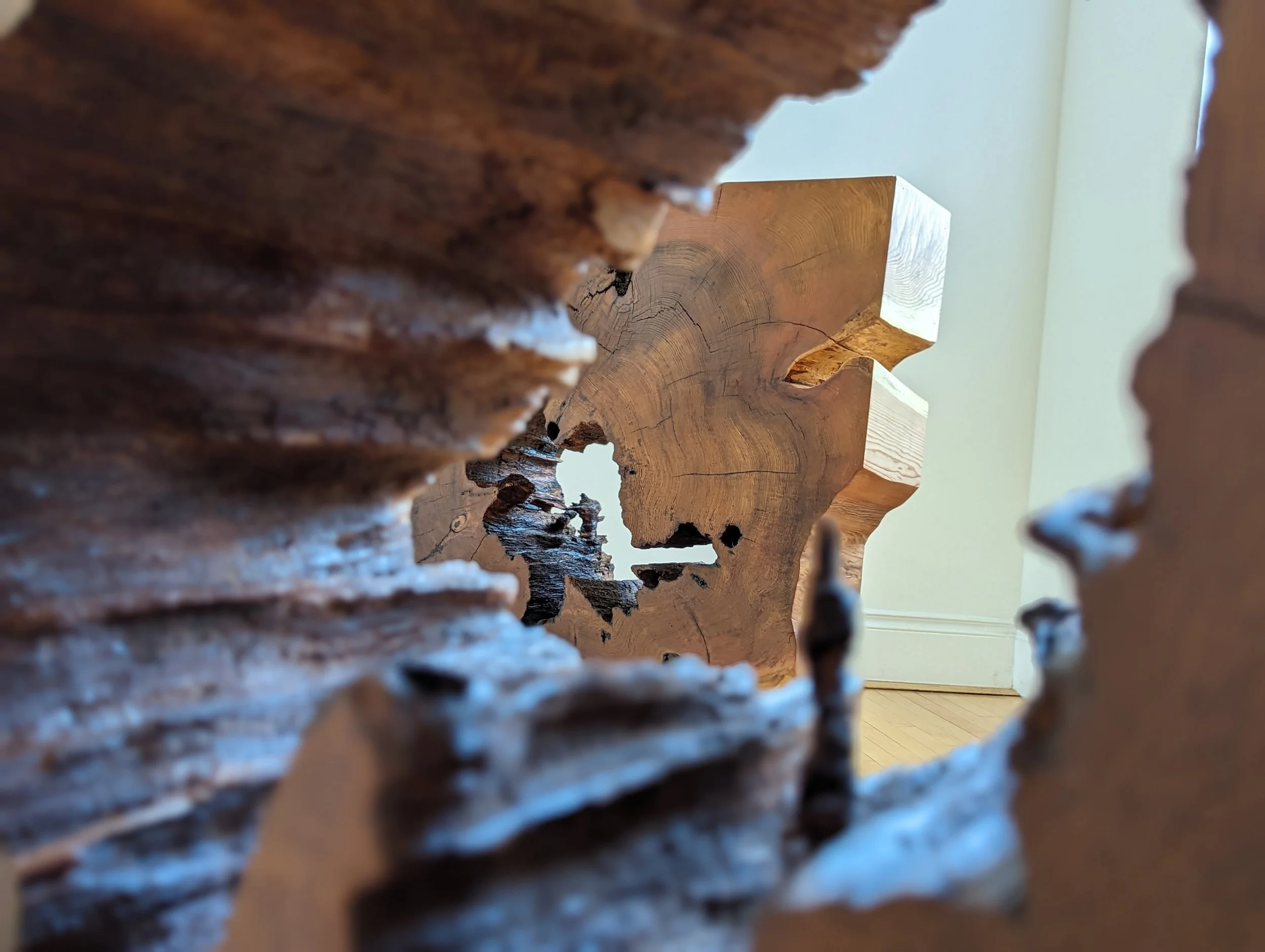 Exhibitions — Salmon Arm Arts Centre