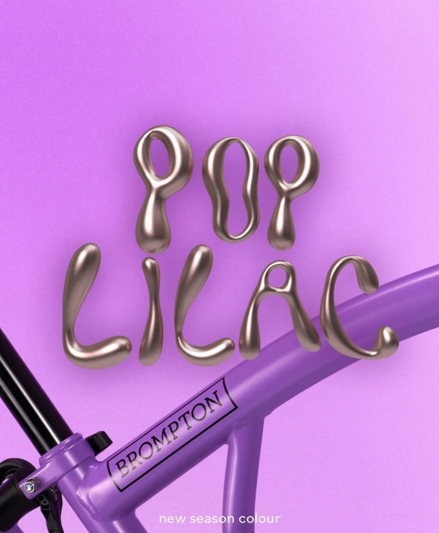 Home | Brompton Australia