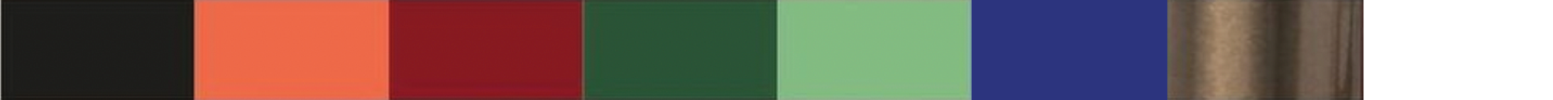 Brompton C Line | Brompton Australia