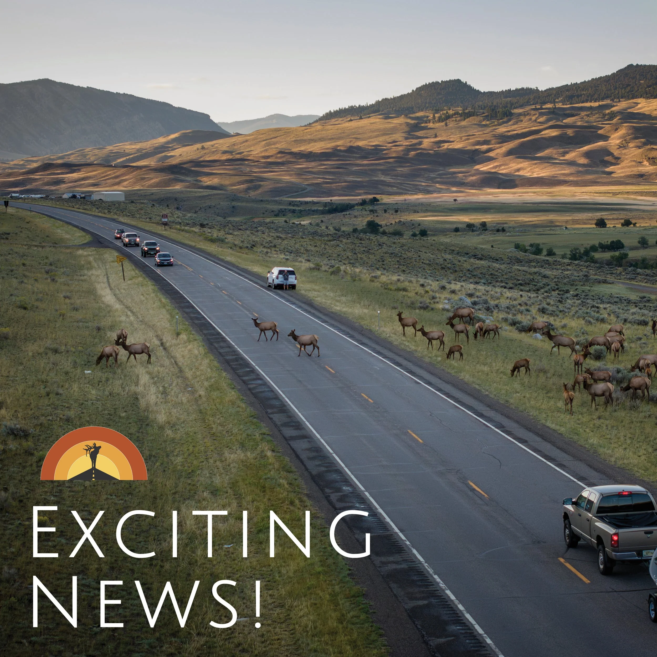 Social Media Toolkit — Yellowstone Safe Passages