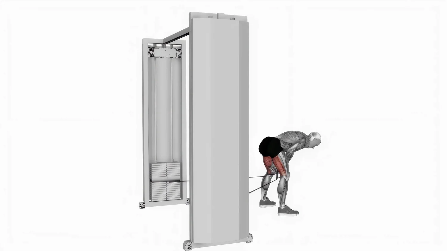 Glutes — Exercise Library — RYSE