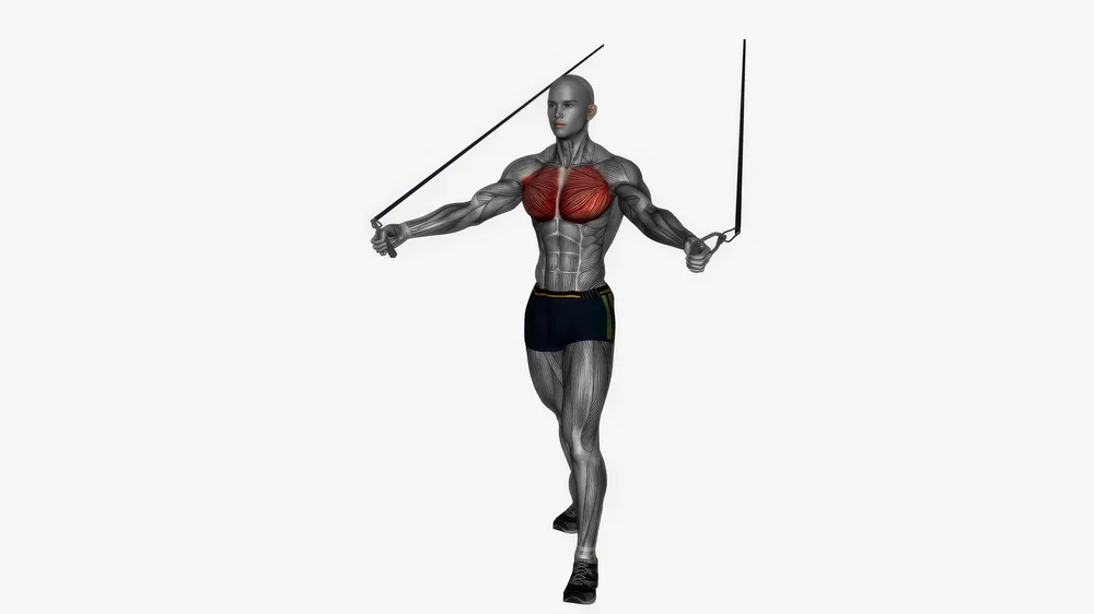 Exercise Library — RYSE