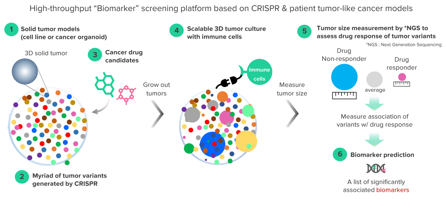 Platform / Pipeline — MEDiC